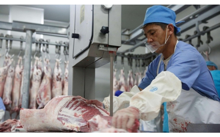 Монгол Улс 8 8 мянган тонн мах махан бүтээгдэхүүн экспортолжээ